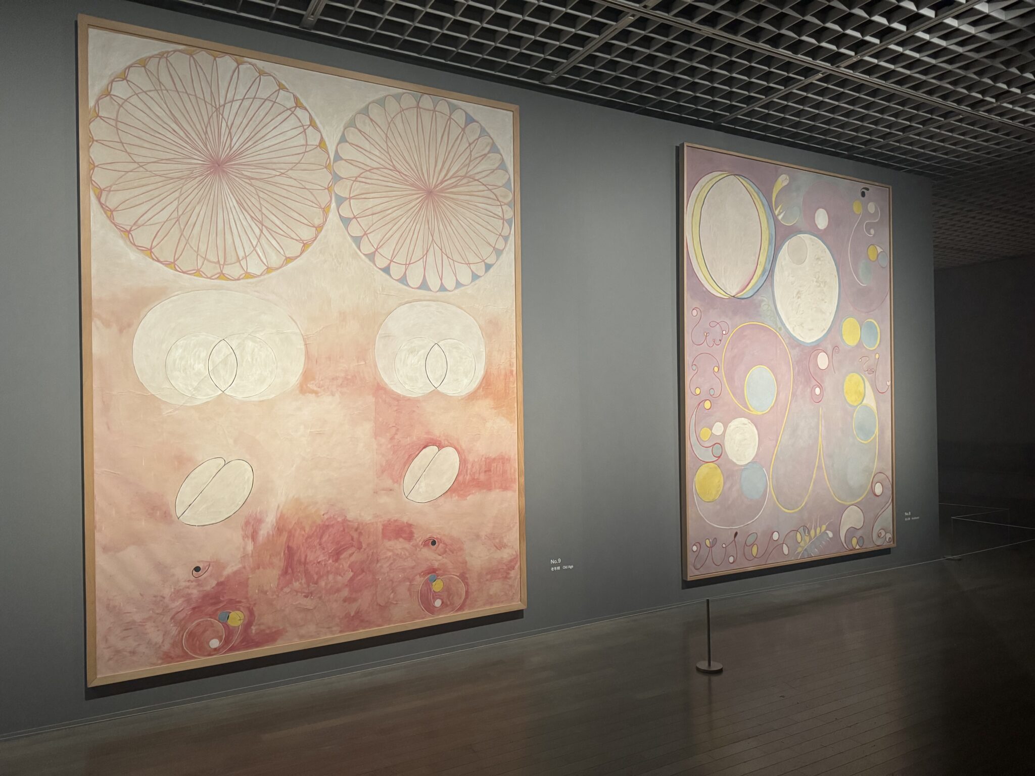 博物館の組織構造とは何か ― 人と階層から読み解く経営のしくみ